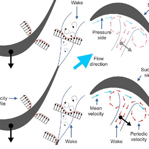 illustration of a rotor stator interaction in a turbine cascade wakes