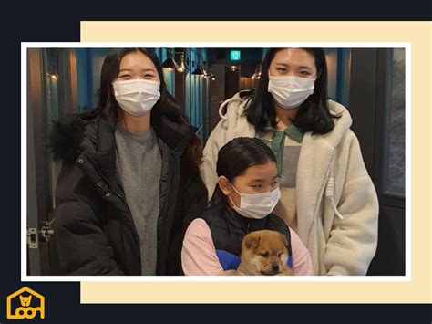 차우차우 진도믹스 마 책임분양 비숑프리제분양가 유기견 미니비숑 웰시코기분양 스피츠 요크셔테리어분양 먼치킨고양이 노르웨이숲고양이분양 빅토리아펫보호소 입양완료