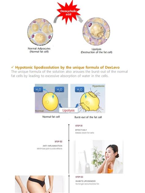 Kabelline Dissolve Fat Injection Body Fat Dissolving High Quality Kabelline Dissolve Fat