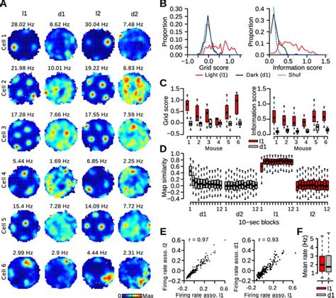 Figures And Data In Visual Landmarks Sharpen Grid Cell Metric And Confer Context Specificity To