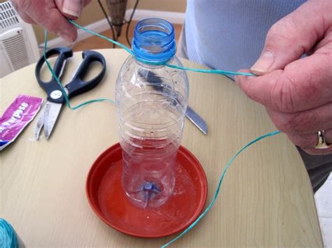 Make Your Own Bird Feeder Roots Magazine