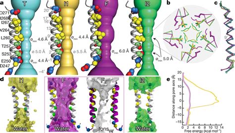 Geometry Wetting And Energy Landscape Of The Transmembrane Pore A