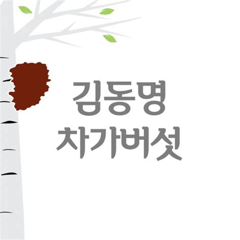 김동명 차가버섯 차가버섯 부작용 및 보관 주의사항은