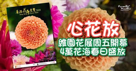 心花放維園花展周五開幕 4萬花海春日盛放