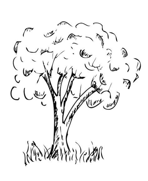 Premium Vector Simple Vector Hand Draw Sketch Big Tree And Grass