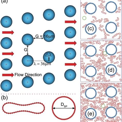 schematic illustrations of the simulated dld system a dld array with