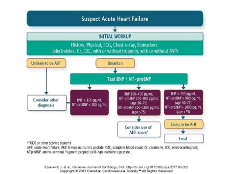 Disclaimer The Canadian Cardiovascular Society Ccs Welcomes Reuse