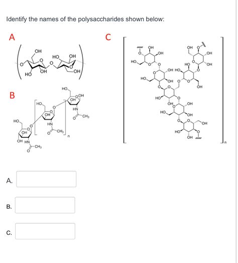 Solved Identify The Names Of The Polysaccharides Shown Chegg