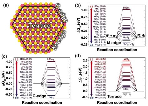 Vasp电池计算专题培训：li离子电池 燃料电池 电位 容量 离子扩散 析氢反应 氧还原反应 自由能 过电位 华算科技
