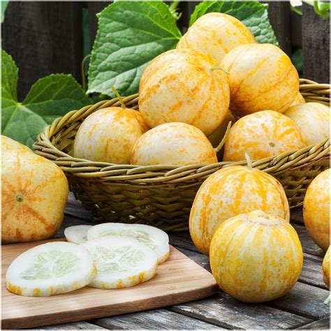 Lemon Cucumber Seeds Lemon Cucumber Cucumber Plant Cucumber Seeds