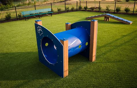 Backyard Dog Playground Equipment