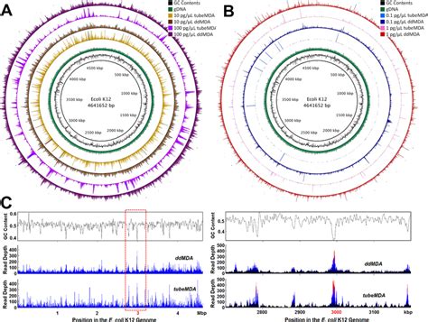 Comparison Of Whole Genome Coverage Of Assembled Contigs Mapped Onto E Download Scientific