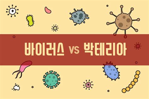 바이러스 Vs 박테리아 차이점과 감염 경로 그리고 예방법은