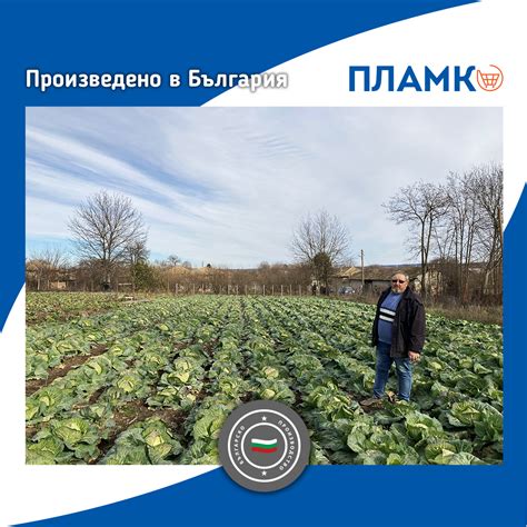 Нашите производители Йонко Иванов Хранителни магазини ПЛАМКО