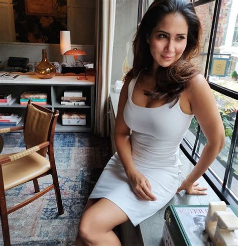 Kim Sharma Wiki Age Boyfriend Family Caste Biography