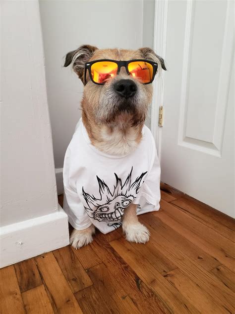 Shirt By Learn2ween Glasses By Walgreens R Ween