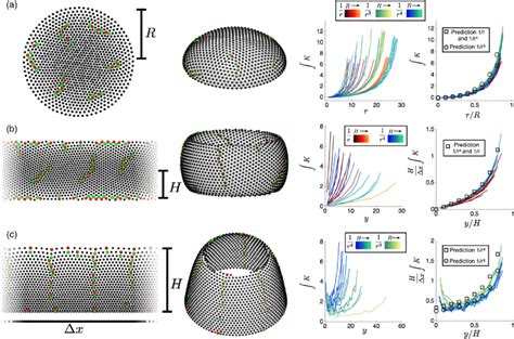 Structures Of Simulated Confined Crystals A Rotationally Symmetric Download Scientific