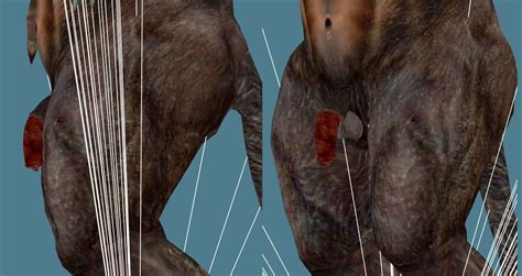 Sexualized Werewolves For Cohr Downloads Oblivion Adult And Sex Mods