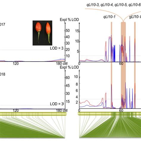 High Density Genetic Map Assisted Genome Assembly Download Scientific