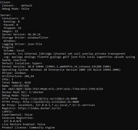 Proxy Config Is Ignored By Windows Based Docker Image Issue 4109