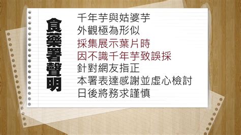 此芋非彼芋！食藥署記者會教分辨姑婆芋 卻拿成「千年芋」