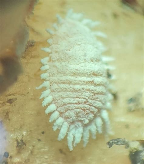 Mian Muhammad Posted On Linkedin