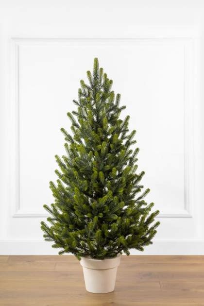 Штучна ялинка Бутік ялинок Лита Віденська ялина в горщику 1 1 м весняна фото відгуки