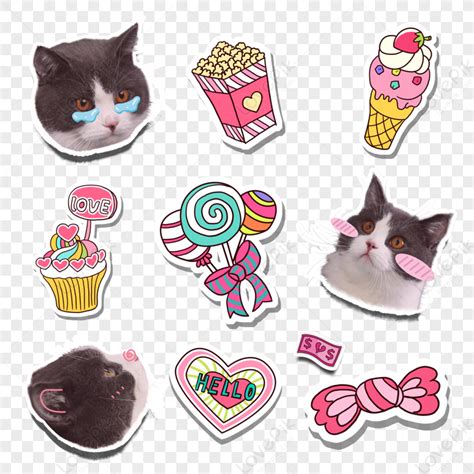 Cute Cat Sticker Emoji Packcat Stickerscute Stickersexpressions Png