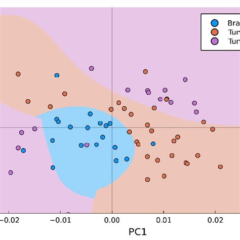 Visualization Of Classification Results For Different Sites Of Glial Download Scientific