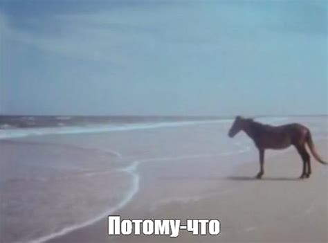 Мем Потому что Все шаблоны Meme