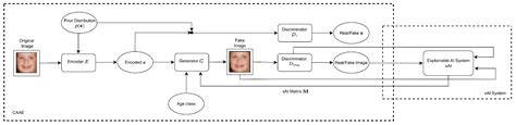 Face Aging By Explainable Conditional Adversarial Autoencoders