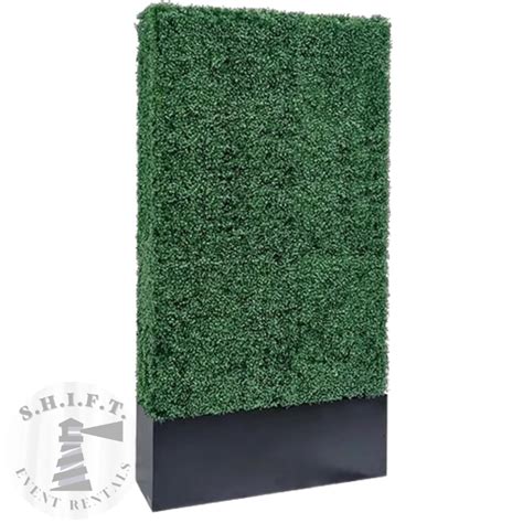 7 Boxwood Hedge Wall Shift Event Rentals
