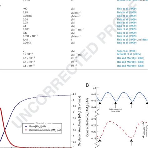Contractile Response Of SMC Model To Periodic Stimulation The SMC Download Scientific Diagram
