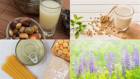 Lupin Allergy Allergy Life Australia