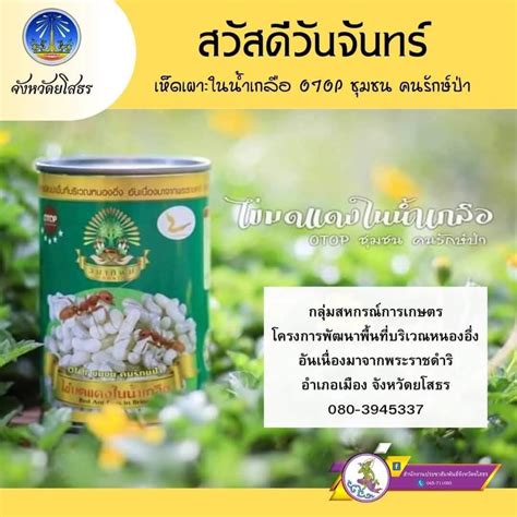 🌼 สำนักงานประชาสัมพันธ์จังหวัดยโสธร Facebook