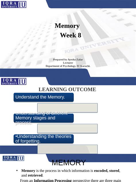 Intro To Psych Week 4 Memory Pdf Recall Memory Memory