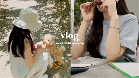 Vlog 직장인 브이로그 데일리룩 간식에 진심인 직장인 그레인 바운더리 쿠키🍪질리지 않는 돈까스랑 쫄면 라이크유슬로우앤드루에브르코이무이 출근룩 여름코디