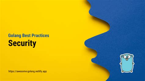 Security Best Practices For Go Applications