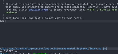 Setup Markdown Writing Environment With Zsh Neovim So