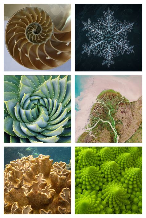 Serg Masís On Linkedin Programming Recursion Math Datascience