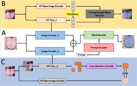A Tongue Litesam Model Structure B Training Principle Of Image