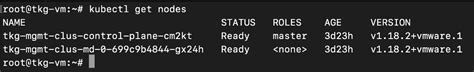 Deploying Kubernetes Workload Cluster Using Tanzu Kubernetes Grid It