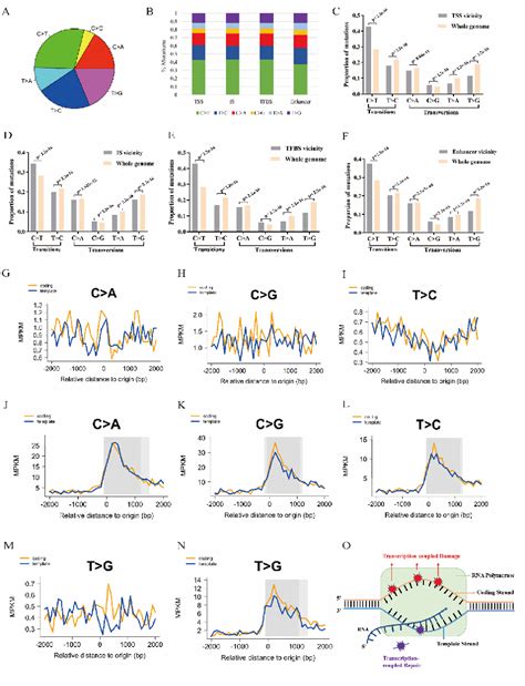 Figure 4 From Prognostic Analysis Of Mutated Genes And Insight Into