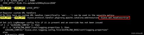 java lang noclassdeffounderror could not initialize class sun awt