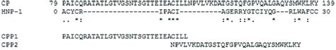 Alignment Of Cp With The Hnp 1 Molecule Using Clustalw Analysis