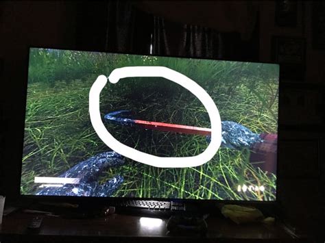 does anyone have a fix for this r dayz