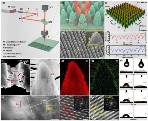 哈工大机电学院杨立军教授团队研究成果为高性能锌基储能器件开发提供新思路