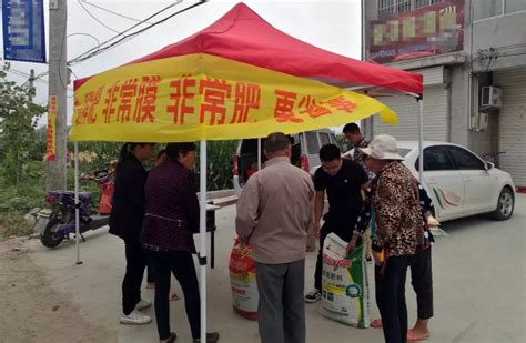 劲典之声‖红色劲典缓释肥玉米示范田现场观摩会在东海县隆重召开！江苏