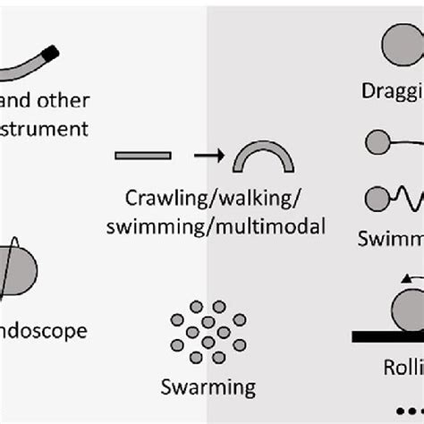 Typical Magnetic Miniature End Effectors Including Continuum And Download Scientific Diagram
