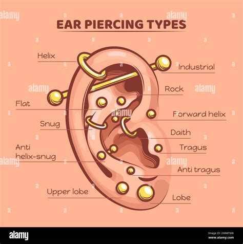 Ear Piercing Types Pierced Ears Infographic Chart Fashion Beautiful Body Jewelry Ring